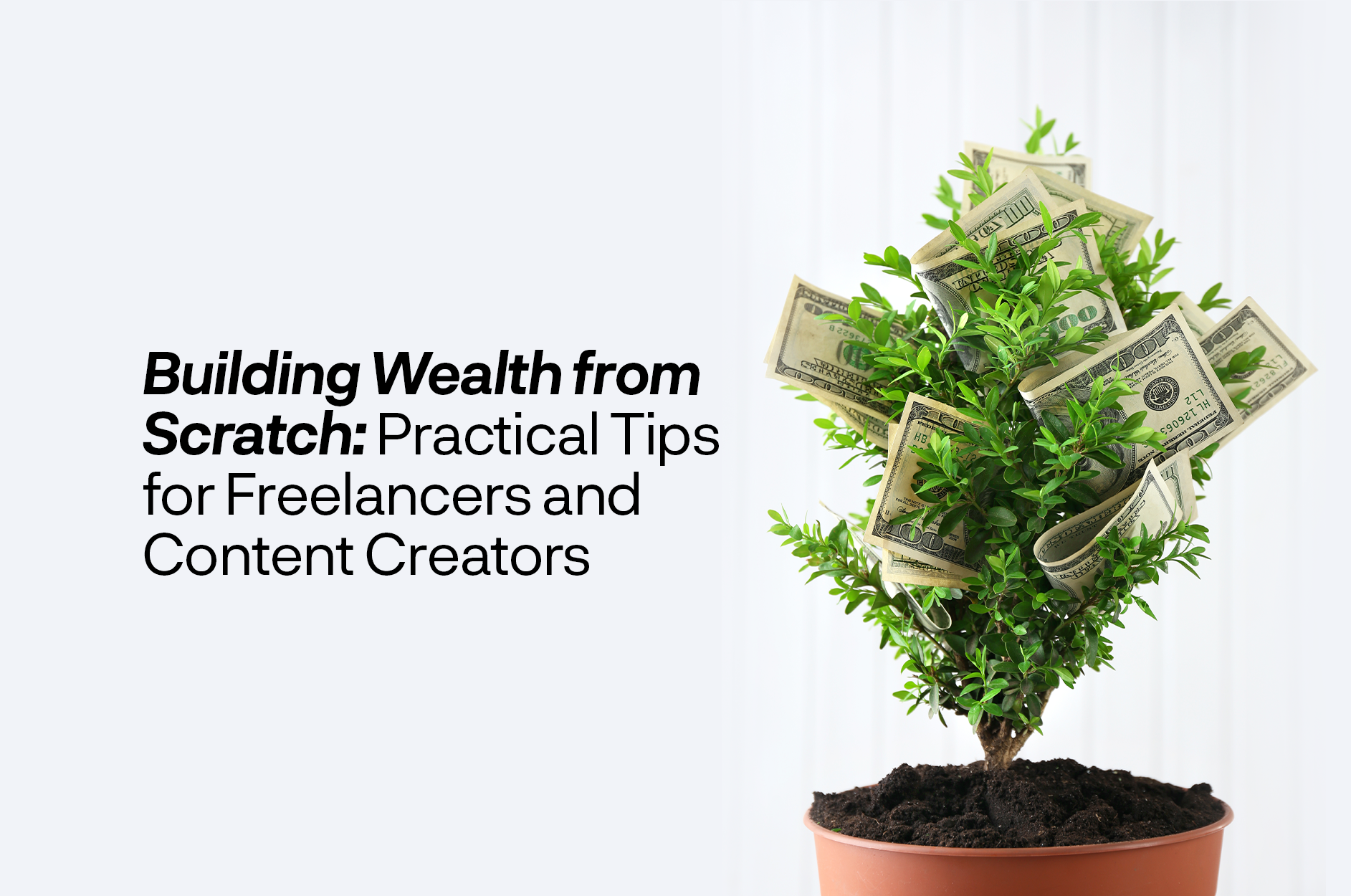 Easy Wealth Planning Tips for Creators